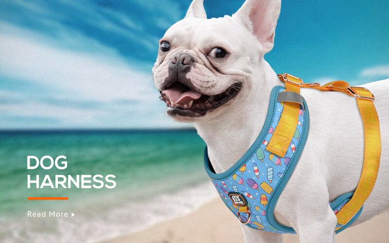 A professional pet supplies Company，Pet harness / Collar / Leash...pet ...